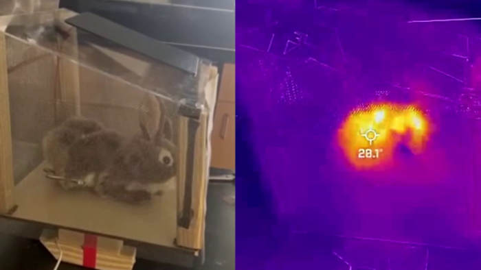 SFWMD reveals robotic rabbits being used in python 'Lures Project'