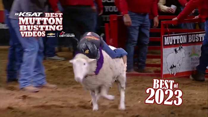 BEST OF MUTTON BUSTING 2023