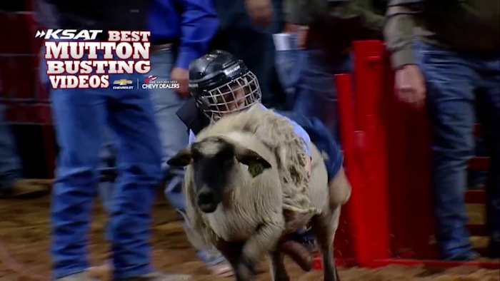 Kids take on Mutton Busting at the San Antonio Stock Show & Rodeo