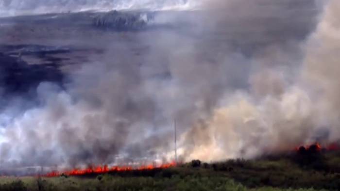 Orlando fire official warns of prime conditions for wildfires