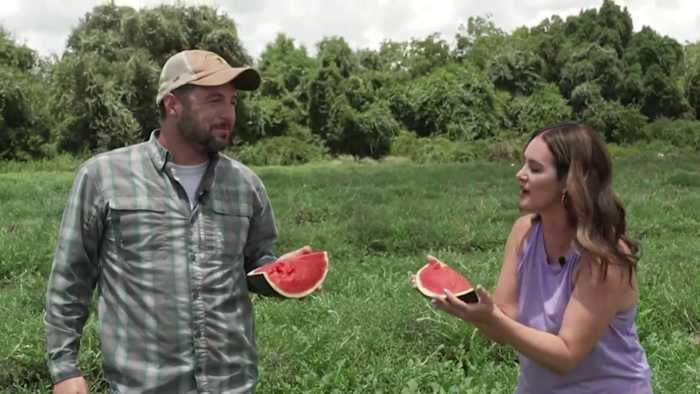 It’s the juiciest time of the year! Watermelon season is in full swing ...