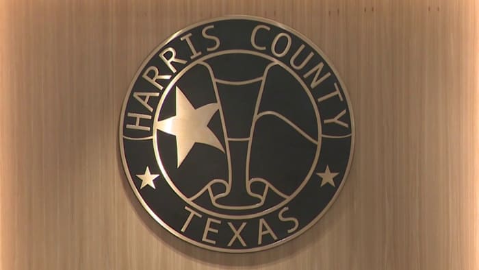 Harris County Commissioners appoint Houston Councilmember Abby Kamin as ...