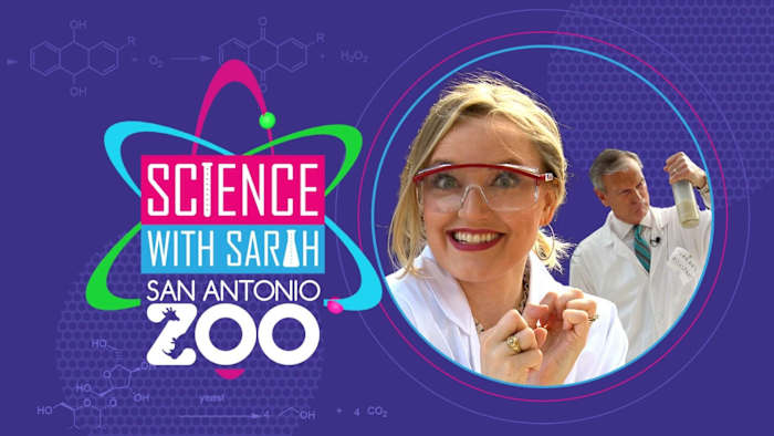 Science with Sarah: Invite KSAT to your school for live science experiments