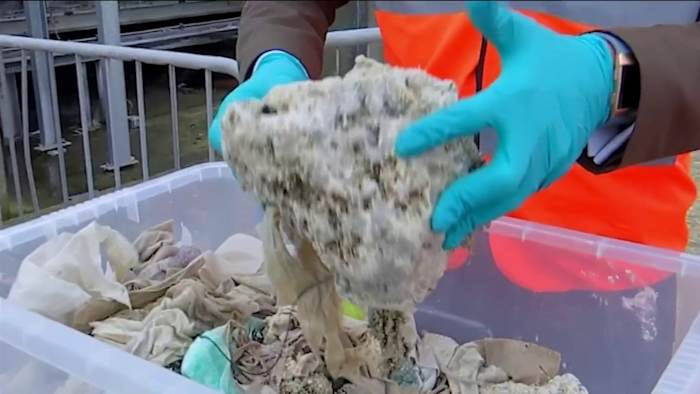 Why you actually shouldn’t flush ‘flushable’ wipes
