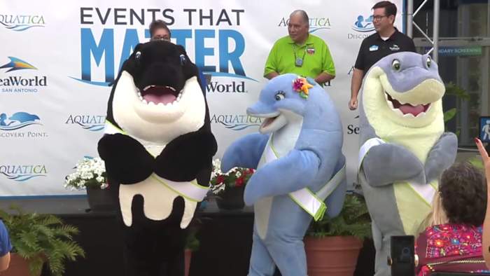 Shamu and Crew announced as grand marshal for 2026 Fiesta Flambeau Parade