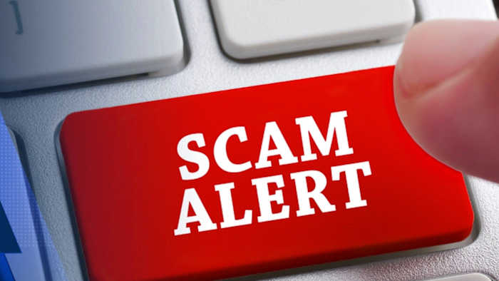 How to spot a fake website before you get scammed