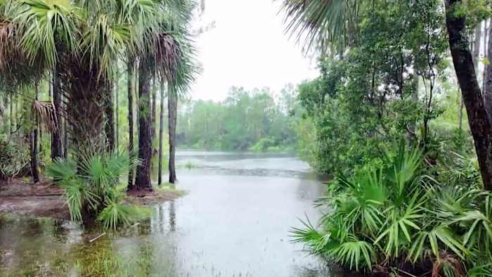 Tropical downpours floods yards in north Brevard County during flash ...
