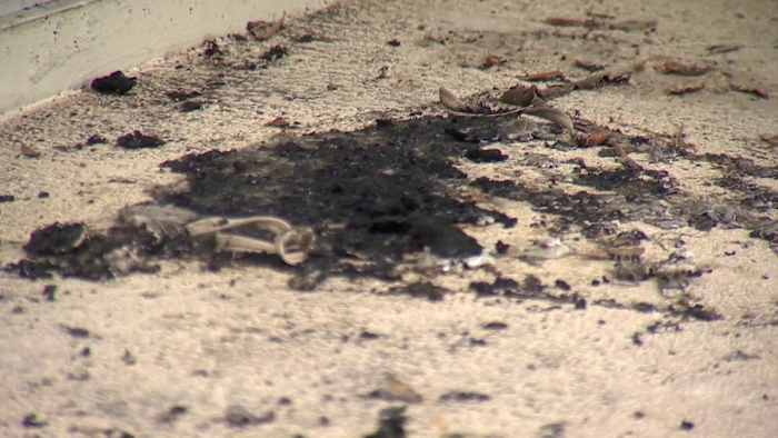 Apopka home set on fire in apparent family feud; 2 arrested in Orlando ...