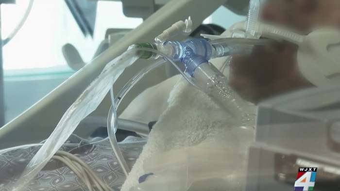 Surge in norovirus, whooping cough, and flu cases marks end of 2024