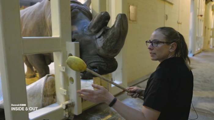 Detroit Zoo Inside Out Animals Big And Small