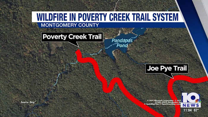 Wildfire in Poverty Creek Trail System