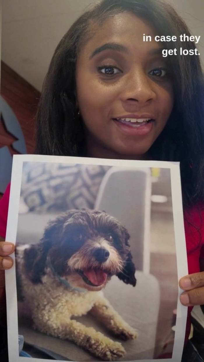 Preparing your pets for hurricane season