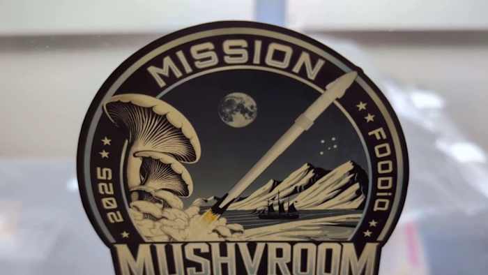 Space shrooms: Mission MushVroom’s ‘magical’ payload paves the way for ...