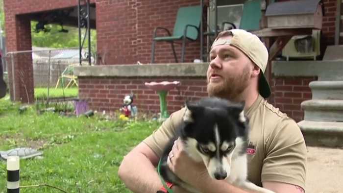 Facebook lost dog post leads to ransom demands, police investigation in ...