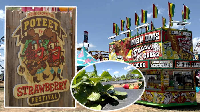 Poteet Strawberry Festival announces entertainment lineup for 2025