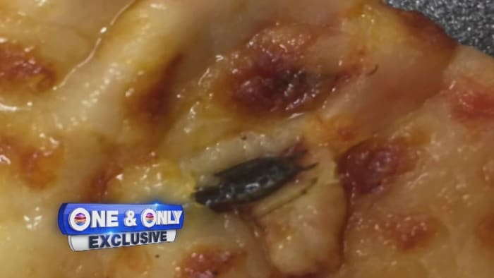 Student finds roach in pizza during end-of-year celebration
