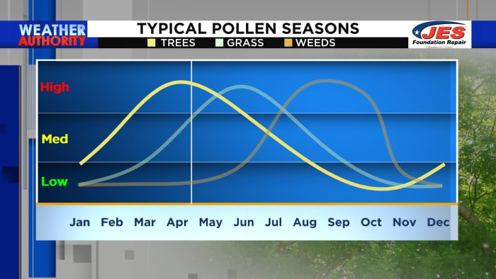 Spring allergies are here! Here's how to avoid the pollen