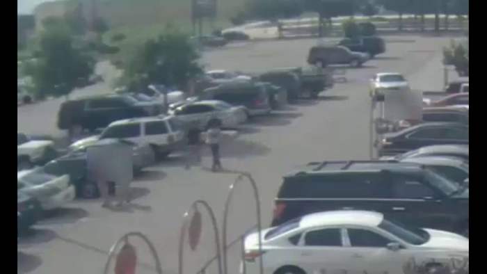 Police searching for suspects who stole woman's purse, forced her to ...
