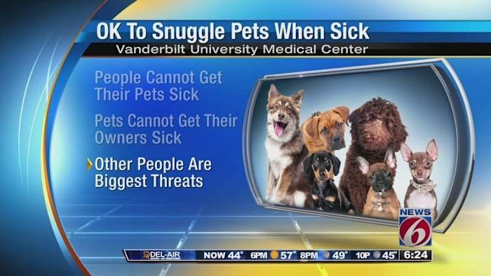 OK to snuggle pets when sick