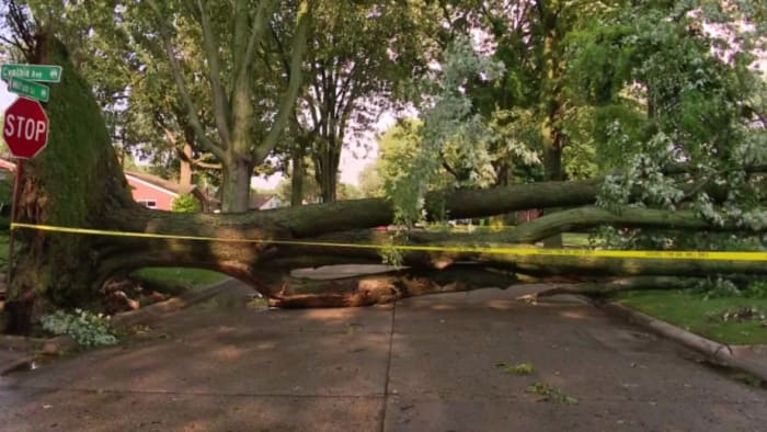 Severe weather causes widespread damage across Metro Detroit