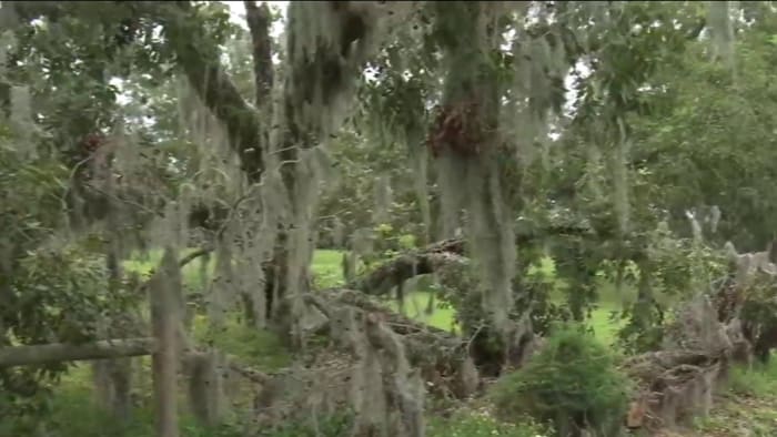 Columbia County expected to feel worst effects of Helene for Northeast ...