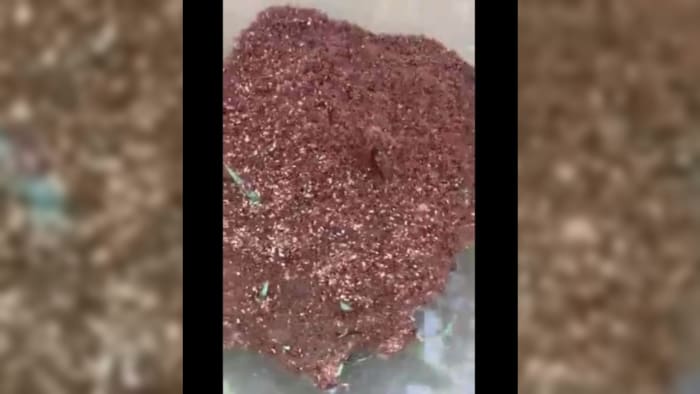 WATCH: Floating fire ant pile spotted in League City flood waters ...