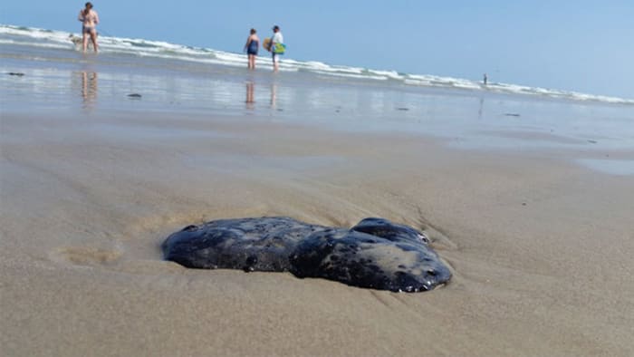 What are tar balls and why is Galveston getting them?