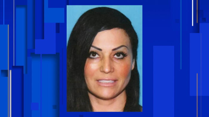 Michigan woman pleads guilty after pretending to be licensed nurse for ...