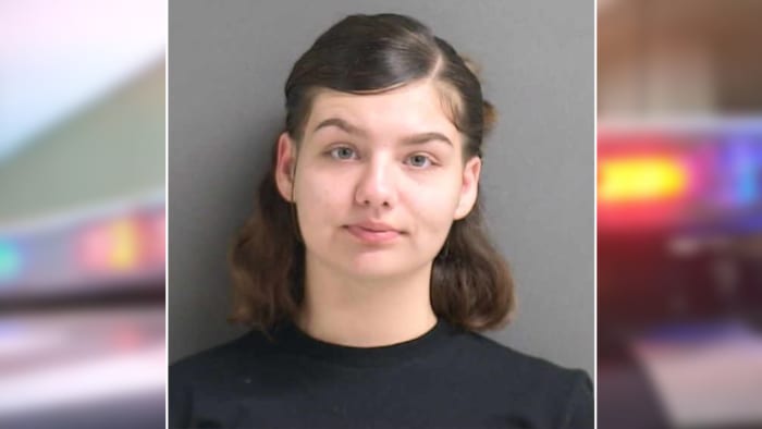 ‘Mistress’ accused of shooting at Volusia woman, car with 1-year-old ...
