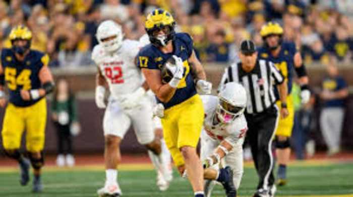 Texans draft Michigan tight end, Germany native Marlin Klein in second ...
