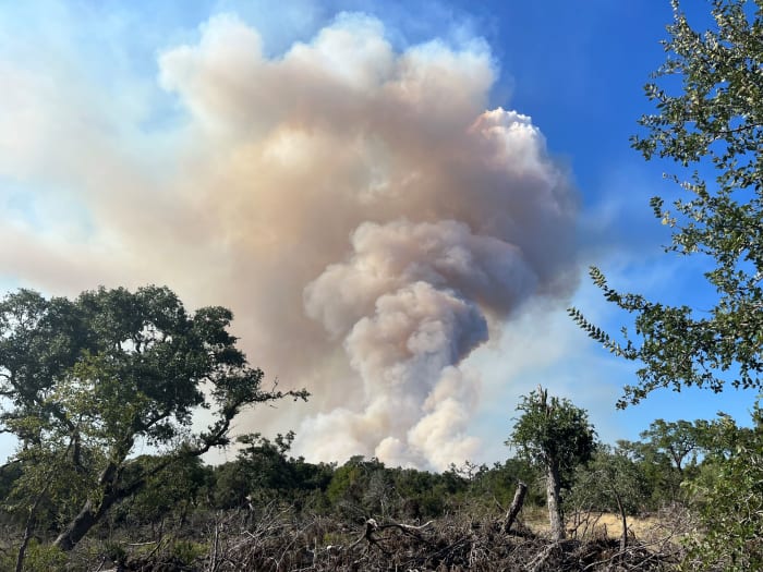 State Wildfire Preparedness level raised to Level 4 as high fire danger ...