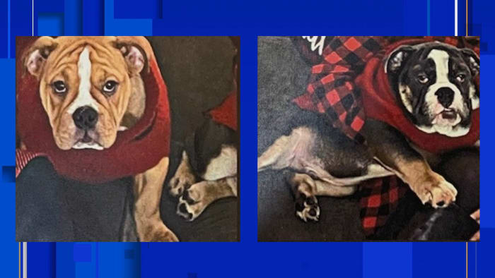 Grosse_Pointe_Woods_Crime