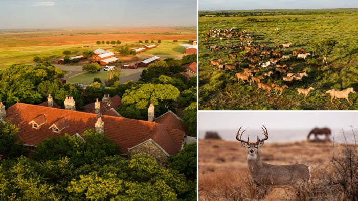 6666 Ranch in Texas sold to group led by ‘Yellowstone’ co-creator