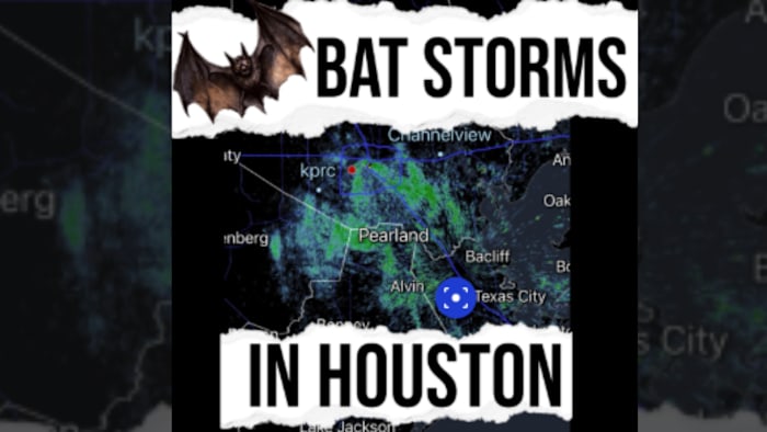 Bat Storms on the radar: Houston’s radar goes batty, but why?