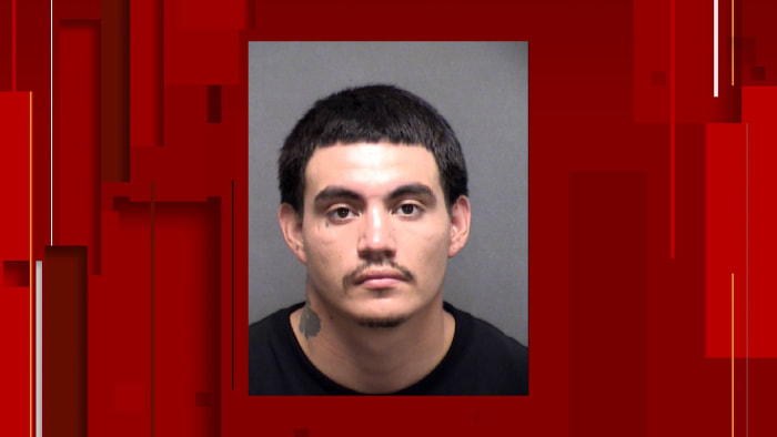 Man sentenced to 29 years in prison after pleading guilty to murder ...