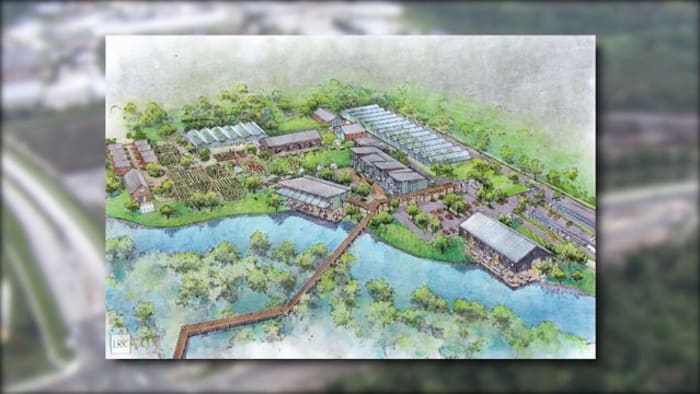 Operator announced for food hall coming to Orlando’s Packing District