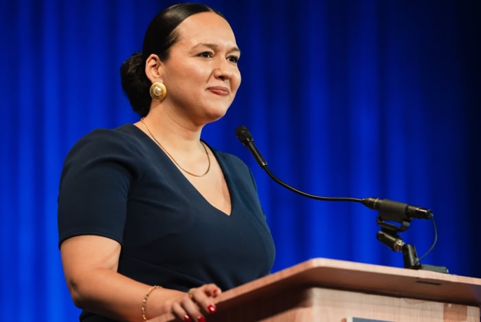 Progressive Democrat's ad decrying "chaos" on the border riles up her ...