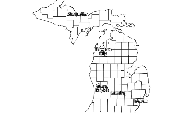 Live map: Election results for 2024 Michigan Primary
