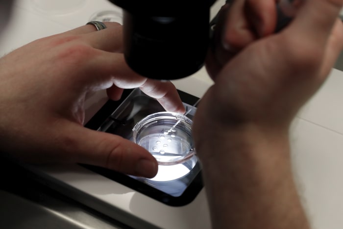 5 Families Sue Houston Fertility Clinic For ‘knowingly Implanting Dead