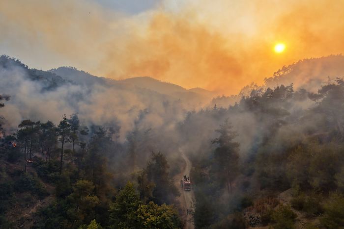 UN teams deploy to Syrian coast as wildfires force hundreds to flee