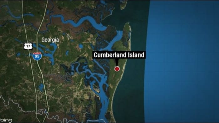 Georgia DNR investigating fatal shooting during Cumberland Island hog hunt