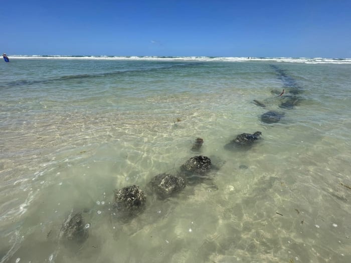 Another Shipwreck Beach Erosion Reveals Debris In Daytona Beach Shores