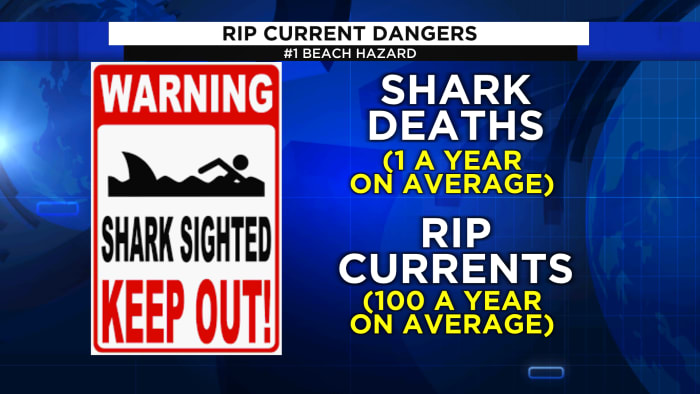Rip currents explained: Why they’re so dangerous and how to stay safe