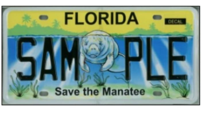 Specialty_license_plates