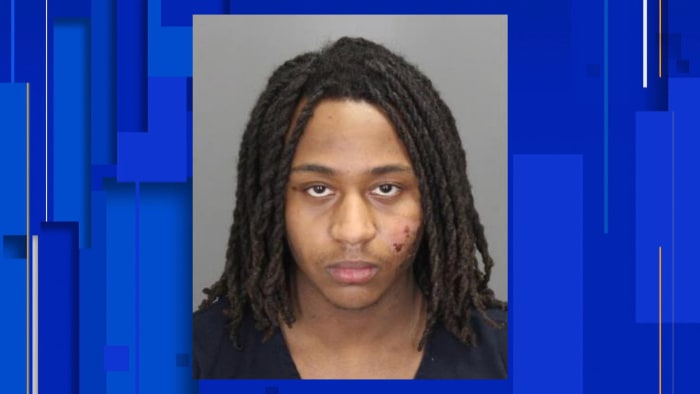 Inkster teen charged after shooting at driver, trying to flee ...