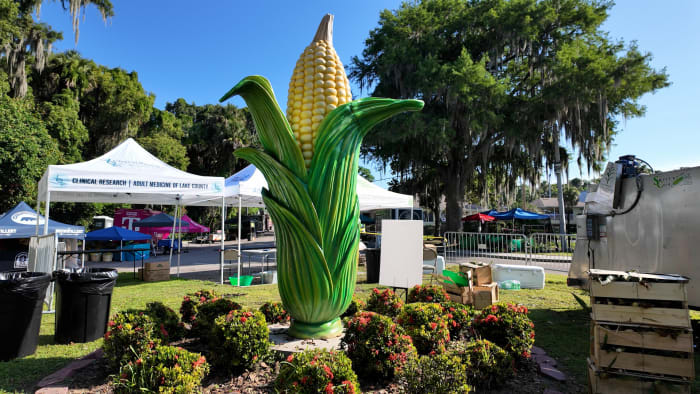 1st-ever Mount Dora Corn Festival celebrates community with live music ...