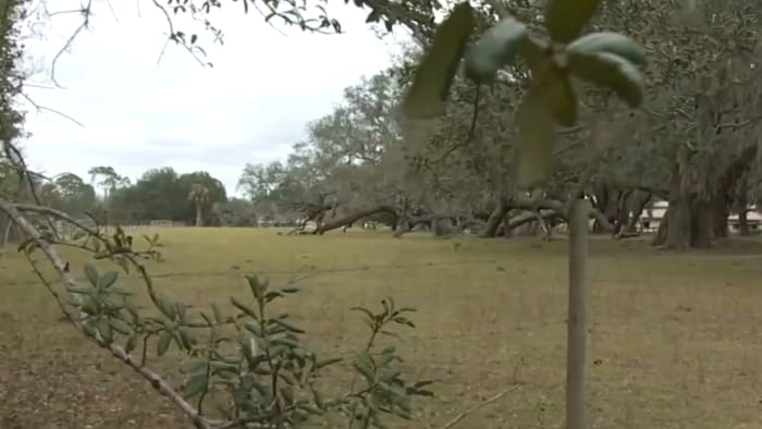 Developers sue to block Orange County rural boundary measures from ...