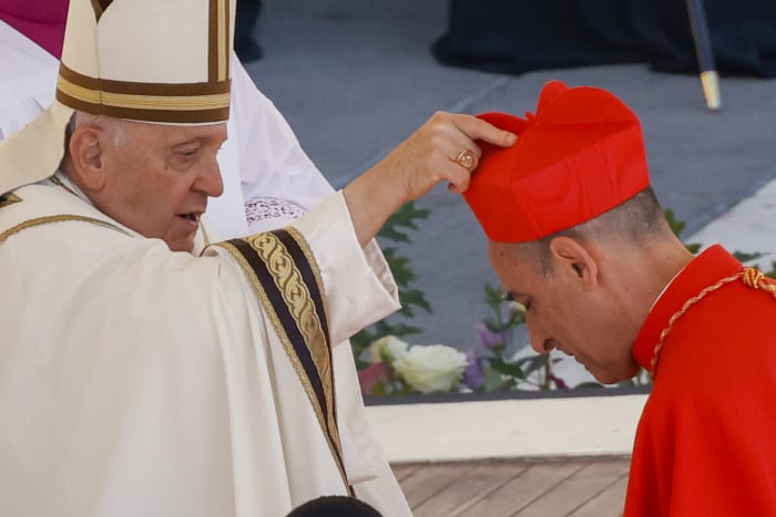 Pope Francis creates 21 new cardinals who will help him to reform the ...