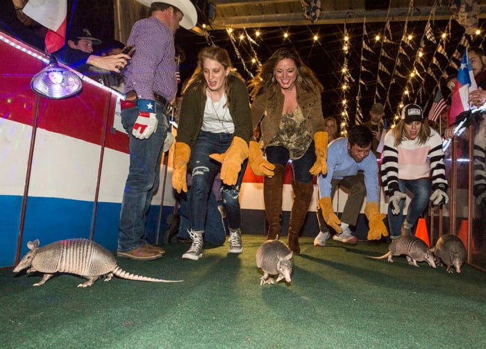 Celebrate Texas Independence Day with armadillo races