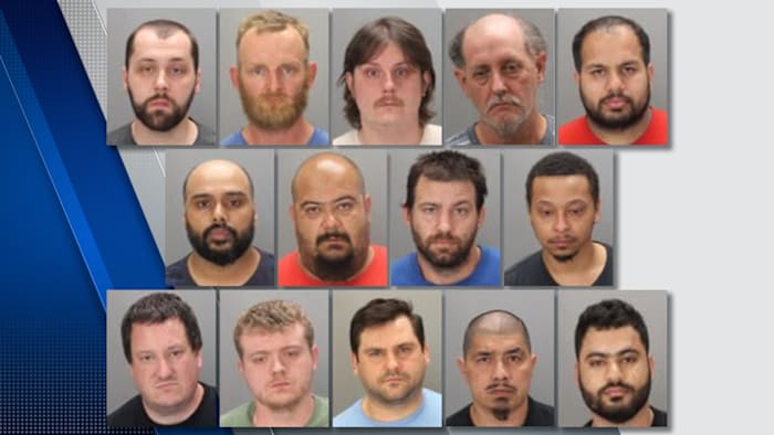 14 arrested this year in Taylor police operation targeting online predators